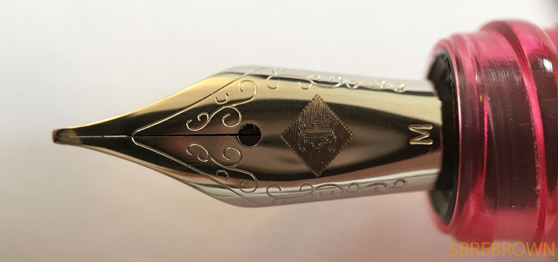 Franklin-Christoph Model 45 IPO SIG Nib Fountain Pen Review | Hey there!