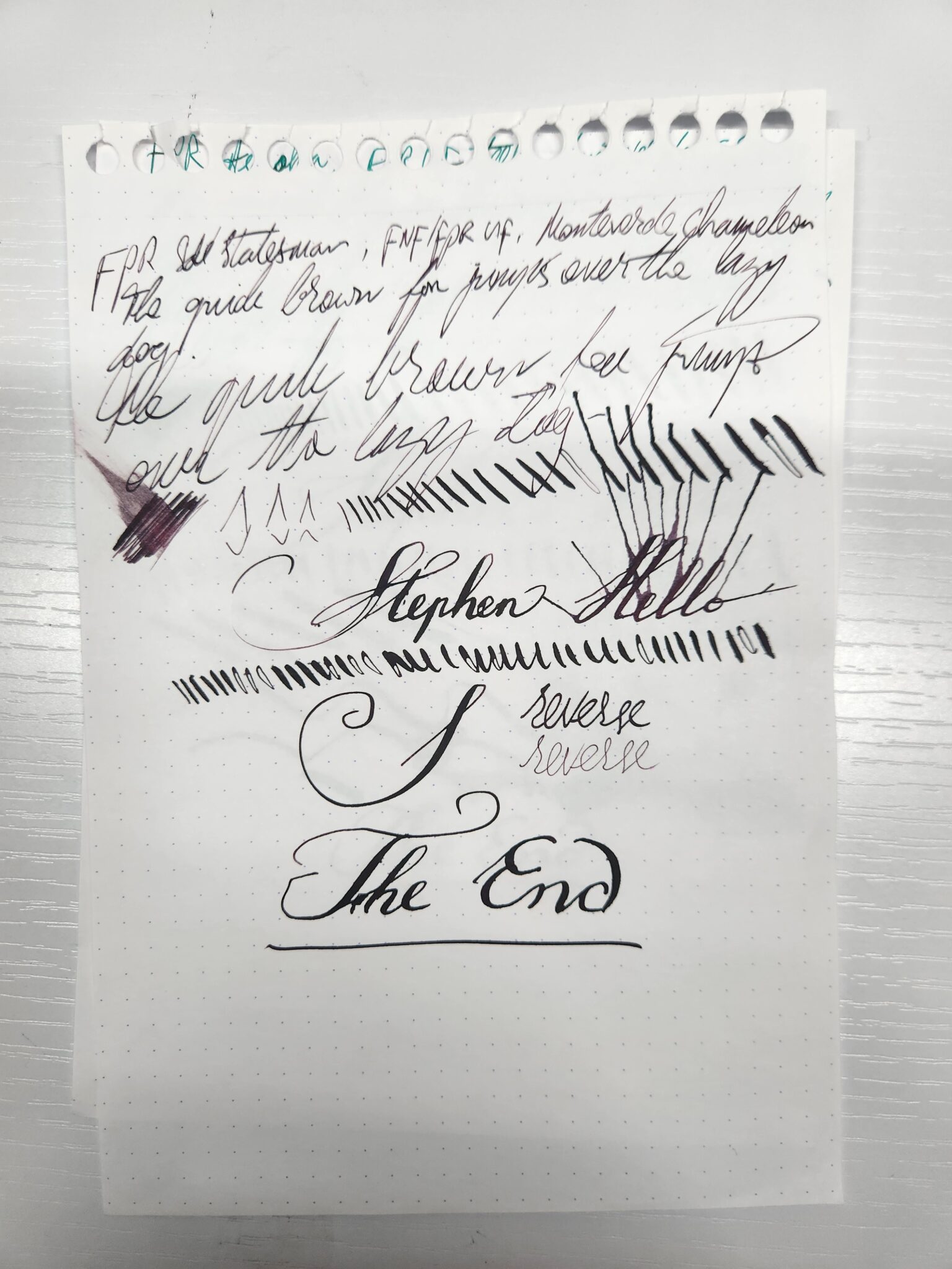Fountain Pen Revolution Statesman Nebula with Flexible Nib Factory ...